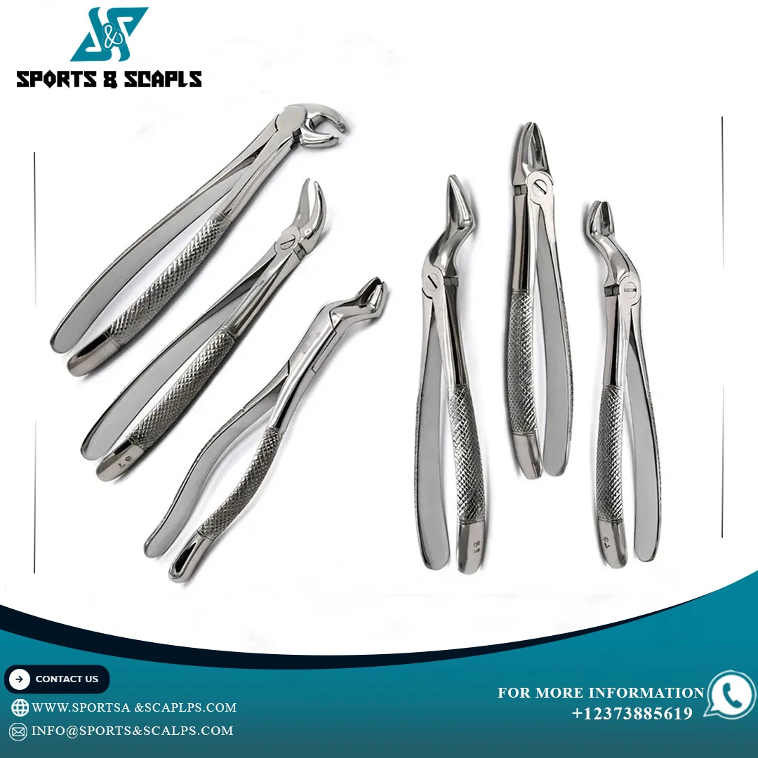 High Quality Dental Instruments Pediatric Extraction Upper Lower Root ...