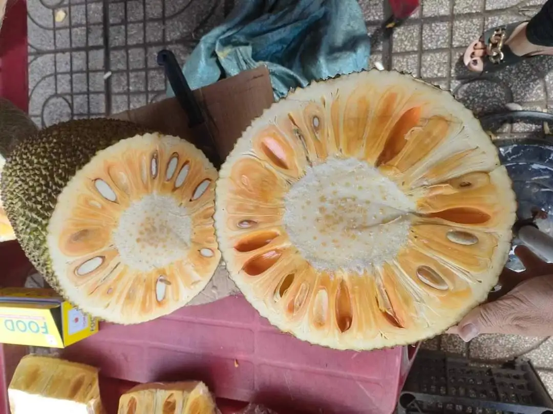 Cheap Price High Quality Fresh Jackfruit Wholesale High Quality From ...