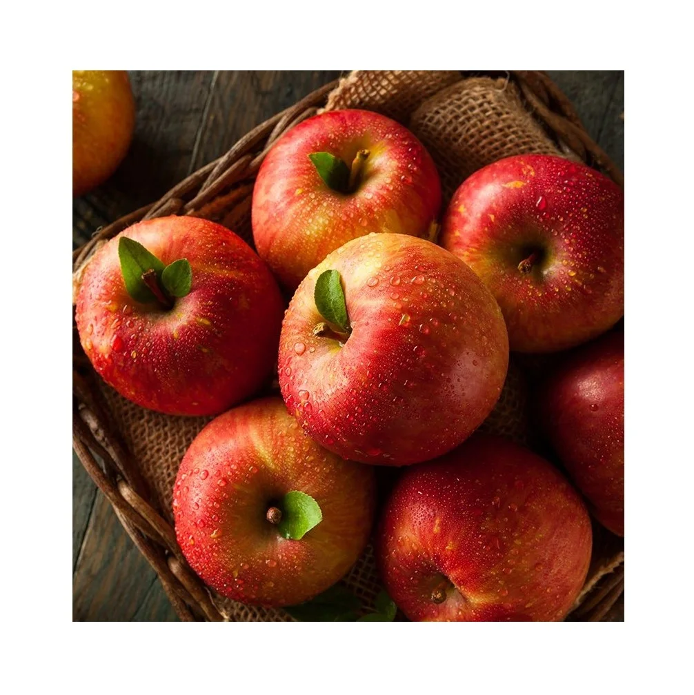Fresh Fruit Apples Available At Cheapest Price In Bulk Stock - Buy ...