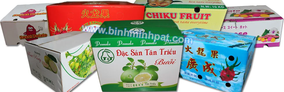 Customized Fresh Fruit Export Packaging - Durable & Eco-friendly