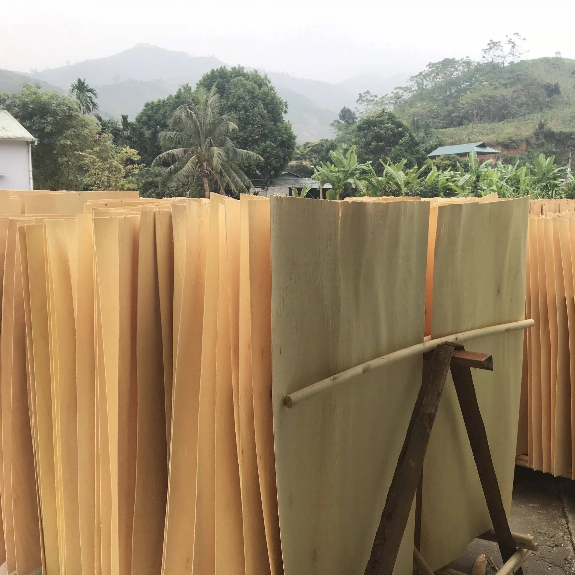 2024 Best Price Eucalyptus/acacia Wood Core Veneers -1.7-2.2mm for ...