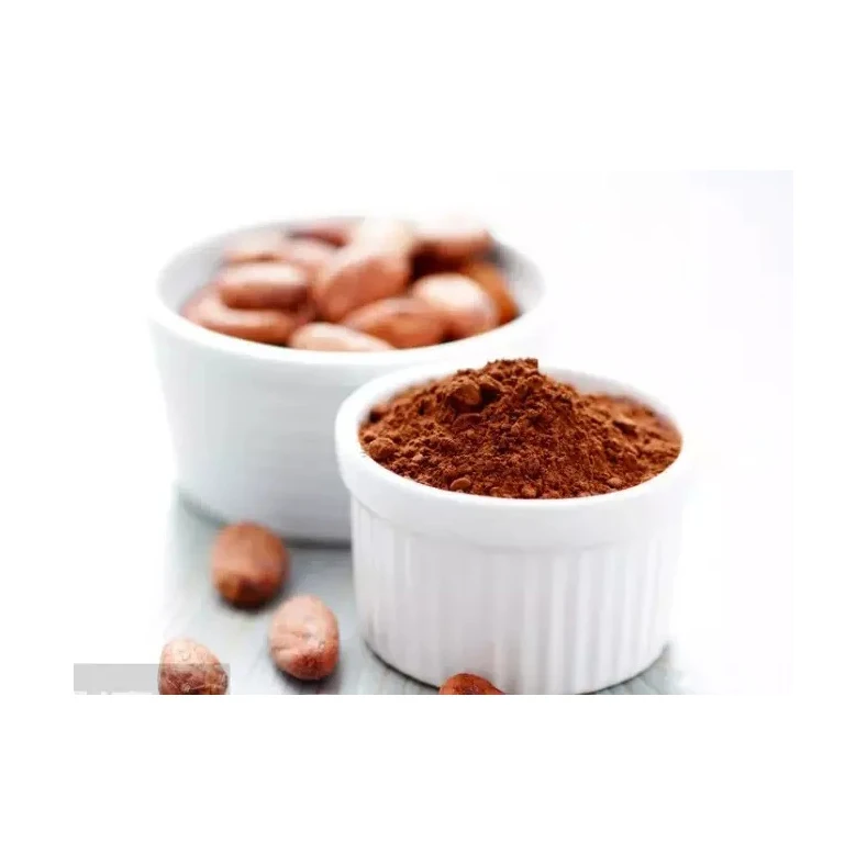 Natural And Alkalized Chocolate Cocoa Powder Pure - Buy Best Price ...