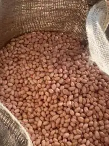 Roasted Peanuts,Salted Peanuts,Coated Peanuts For Sale - Buy Best ...