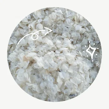 Top Quality Supper Sales Dried Fish Scales To Extract Gelatin Collagen ...