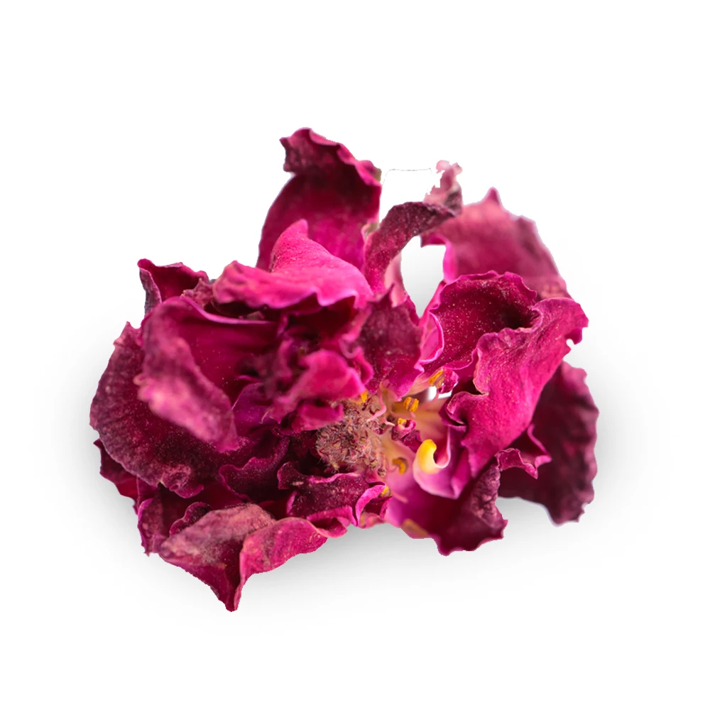 Fresh Cut Dried Red Rose Flower| Alibaba.com