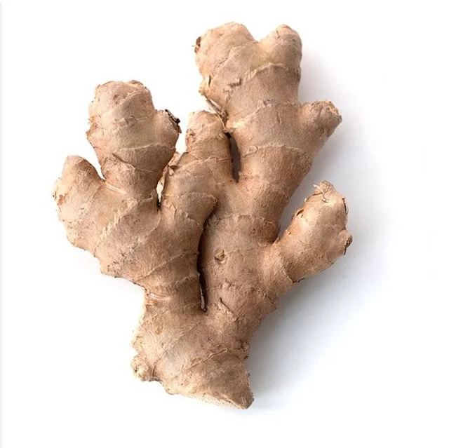 Wholesale Raw Materials Fresh Ginger Yellow Natural Origin From Austria ...