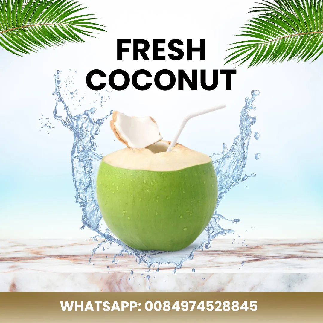 Fresh Coconut Wholesale Green Coconut Vietnam Exporter Reasonable Price Young Fresh Coconut ...