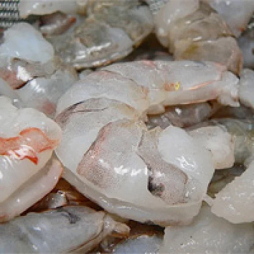 Spot-tail Mantis Shrimps Fresh Frozen Whole Shrimps,White Shrimps ...