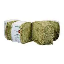 Double Compressed Premium Alfalfa Hay - Best Quality Alfalfa Hay For ...