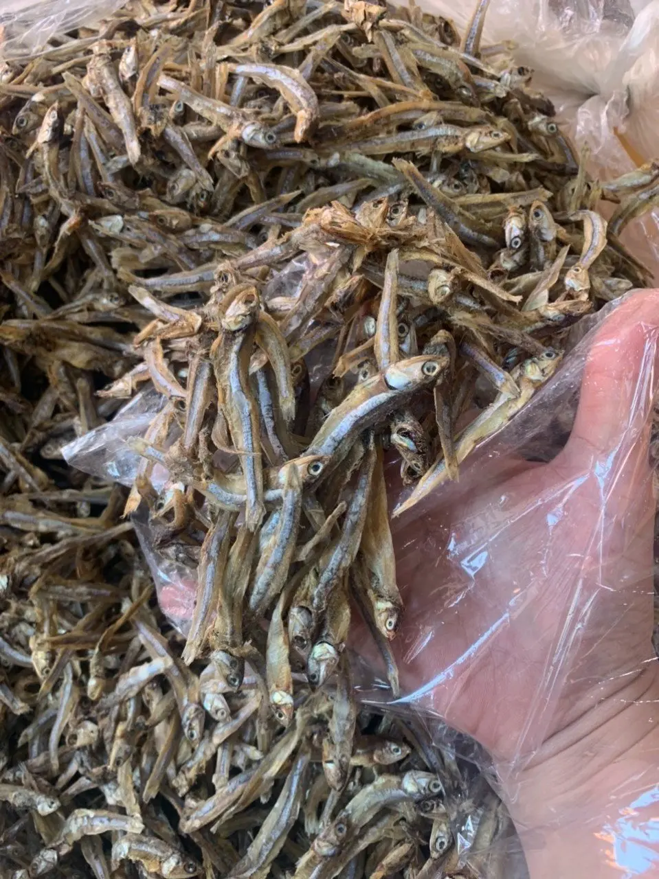 Baby Sun Dried Anchovy Fish From Vietnam / Medium Dried Anchovy With ...