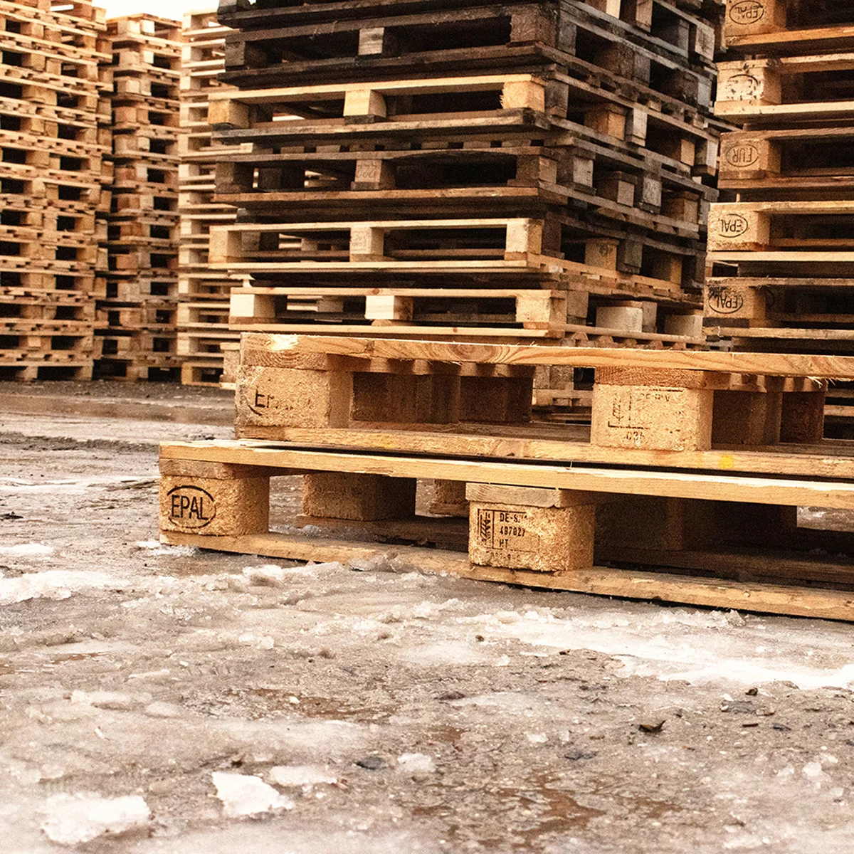 Wooden Pallets For Sale Used Euro Pallets 1200 X 800 Wholesale Prices ...
