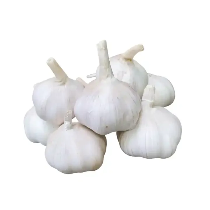 High Quality Organic Dehydrated Garlic Chopped Food Grade For Cocking ...