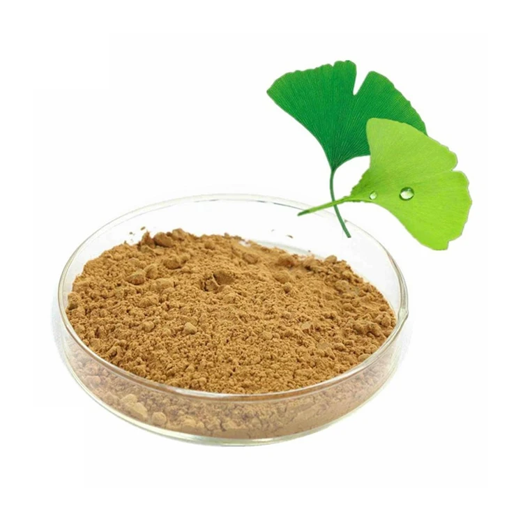 Semen Ginkgo Seed Ginkgo Biloba Extract Granular Extract Powder Ginkgo ...