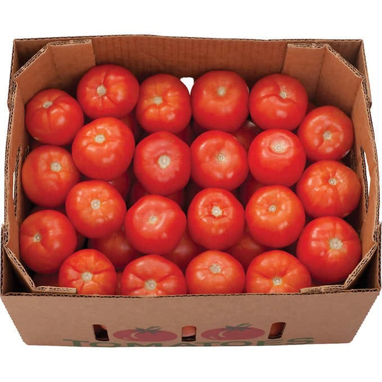 Fresh High Quality Red Tomatoes From India - Buy Tomato Paste Tomato ...