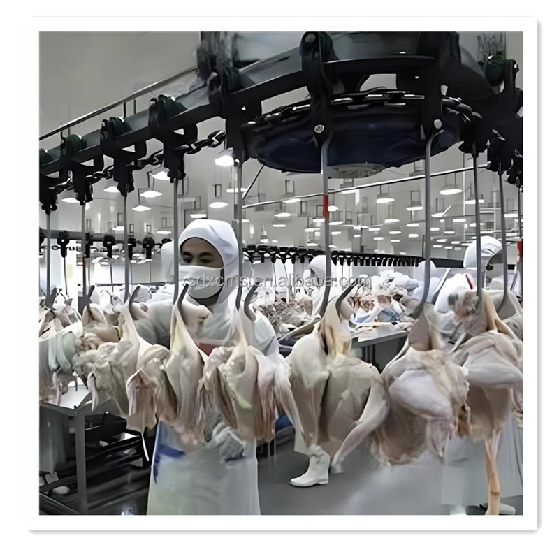Alibaba.com: 300BPH-4000BPH Halal-certified poultry slaughterhouse ...