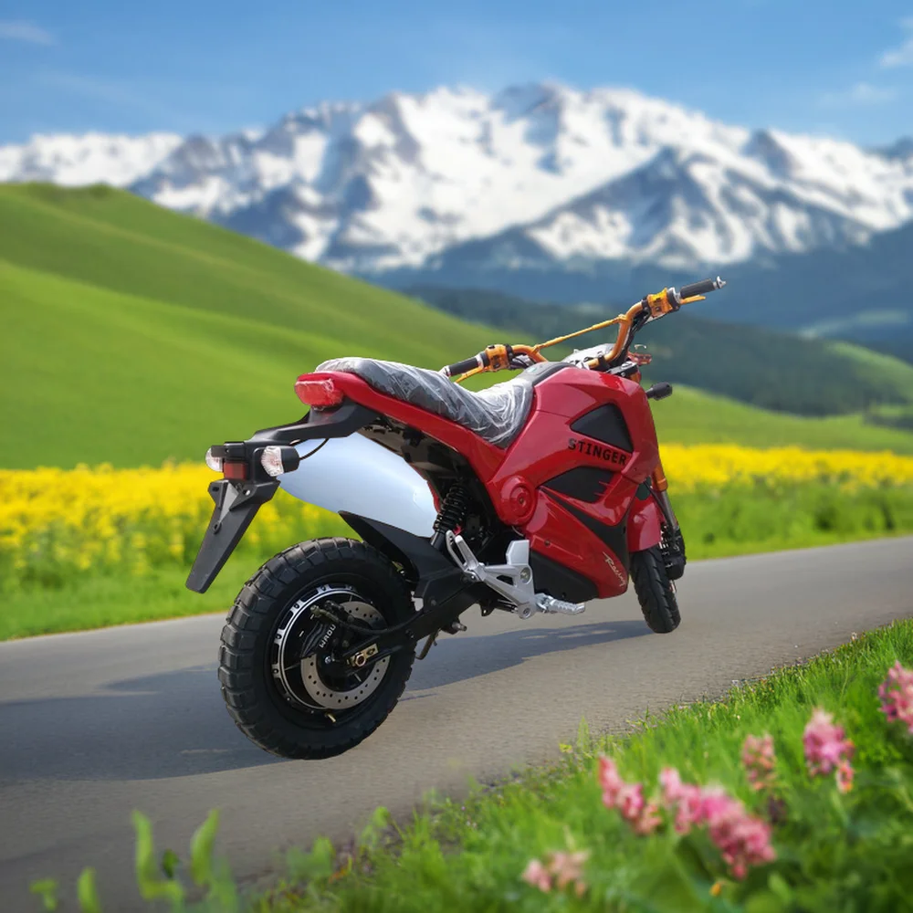 Adult M3 Racing Electric Motorcycle 72v 30ah Lithium Battery Eec ...