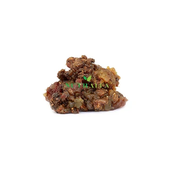 Gum Guggul Guggulu Commiphora Mukul Best Quality Guggal Resin Plantas ...