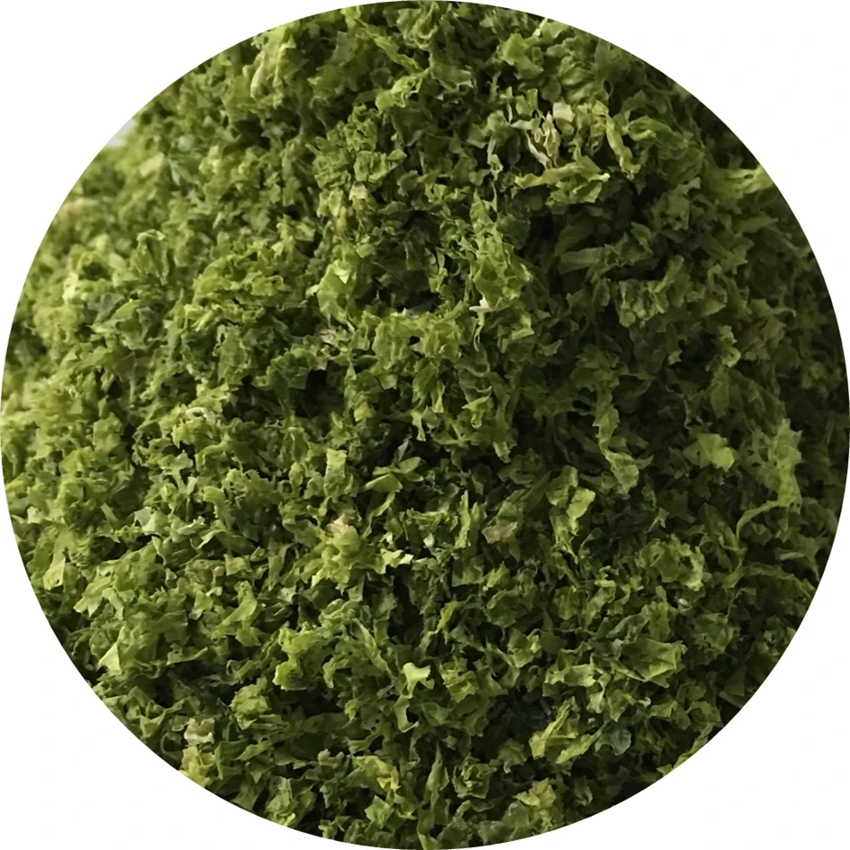 Green Seaweed Powder / Ulva Lactuca Seaweed for Sale| Alibaba.com
