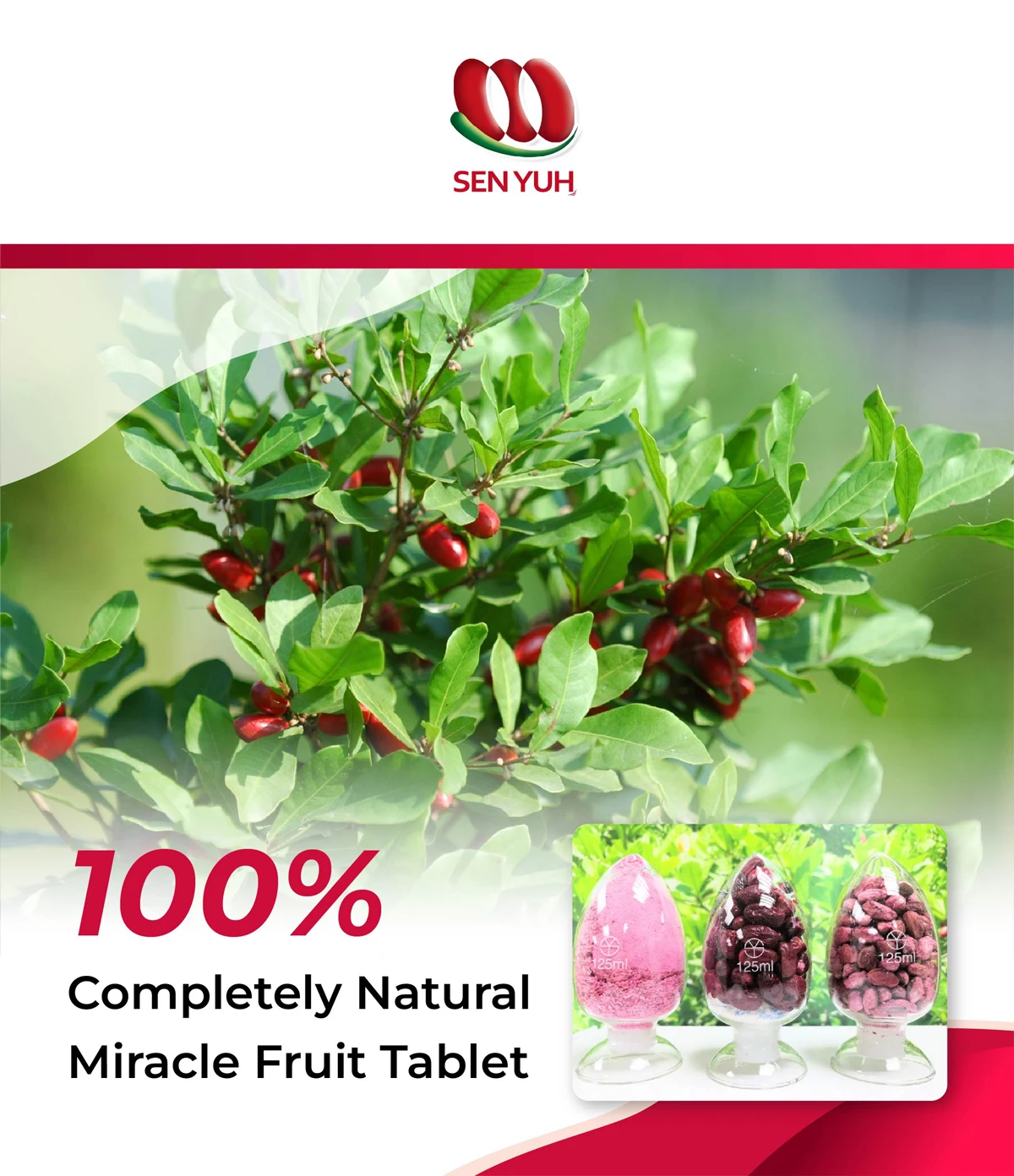 Miracle Fruit Tablets