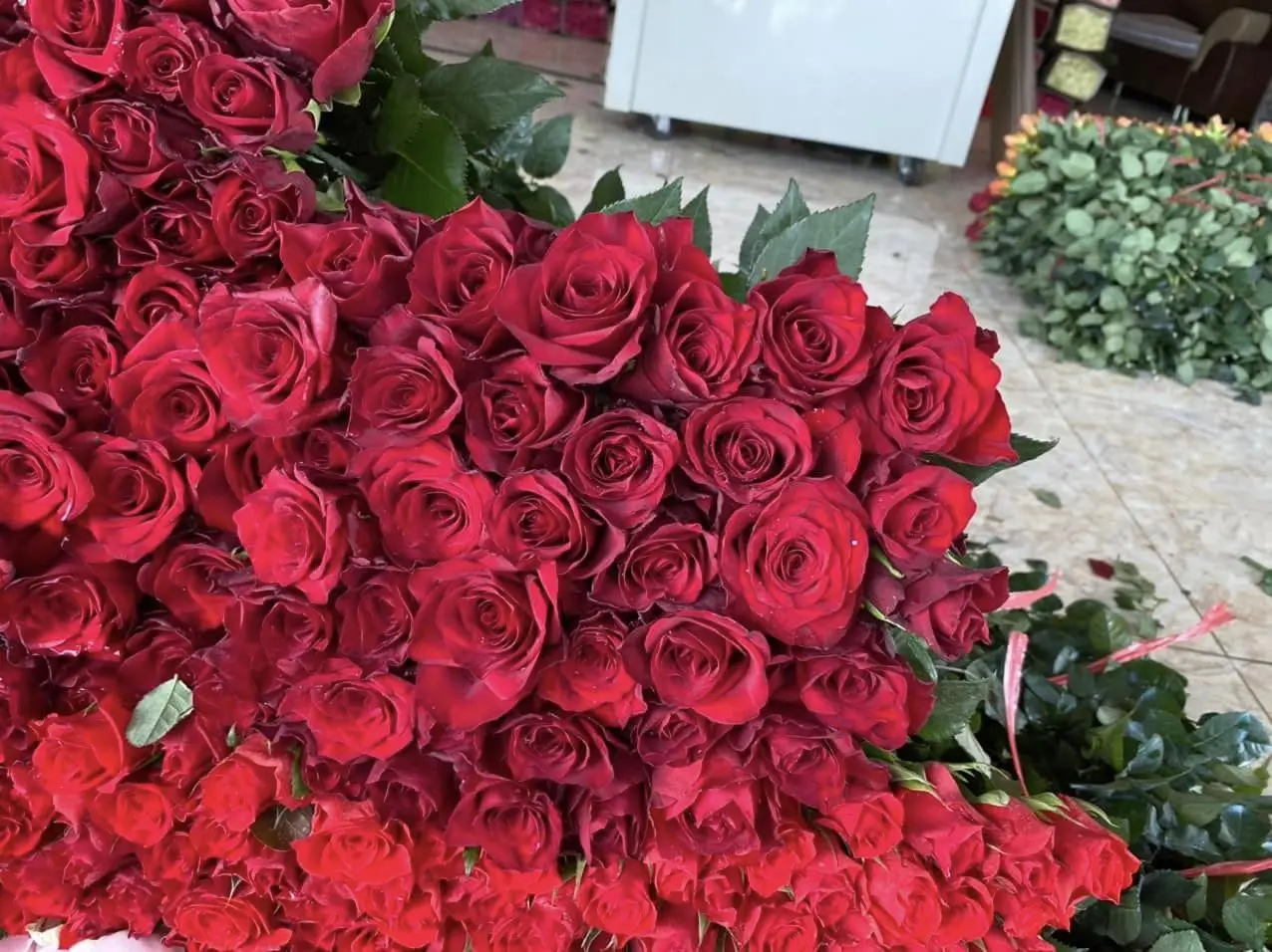 Fresh Cut Roses Fresh Cut Natural Roses +84947900124 - Buy Fresh Cut ...