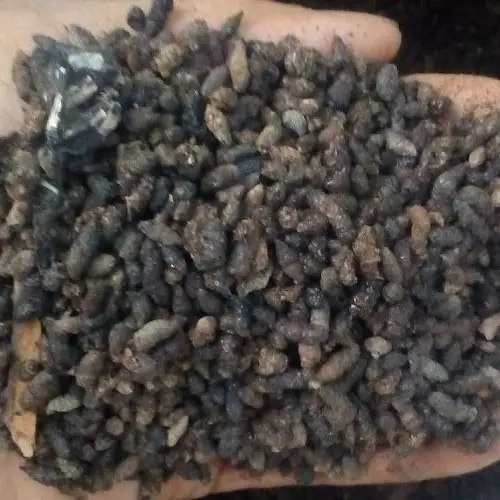 Bat Dung Fertilizer - Pure Bat Droppings from Vietnam