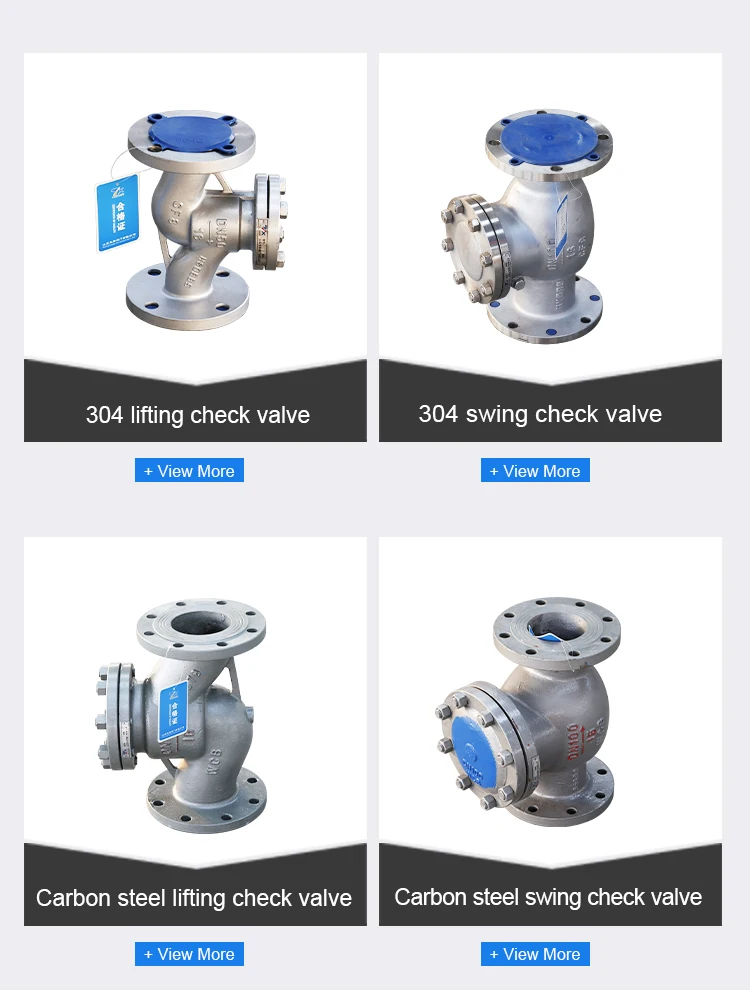 Air Ducting Check Valve Water Check Valve 1.6-25 Mpa High Pressure ...