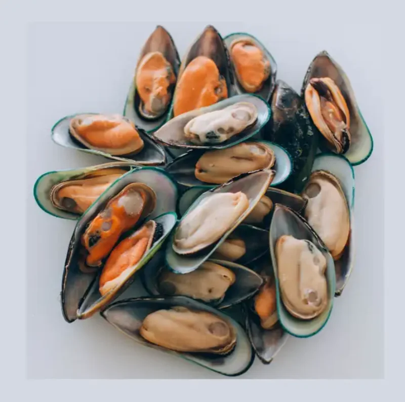 High Quality Frozen Mussels Clam Oyster Blue Mussel Scallop Shellfish ...