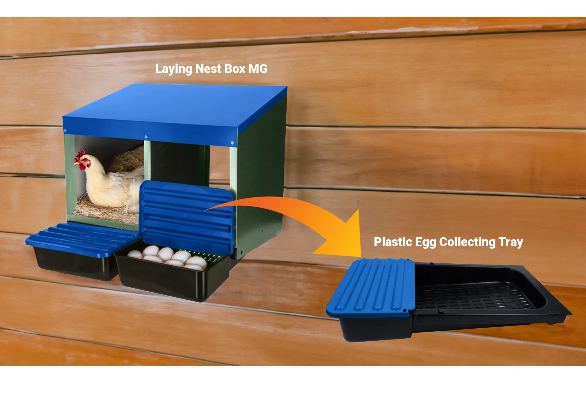 Innovative Egg Collecting Tray For Chicken Laying Nest Box Blue Color ...