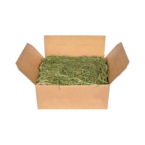 High Quality Alfalfa Hay Grass / Alfalfa Hay Bales Available For Sale ...