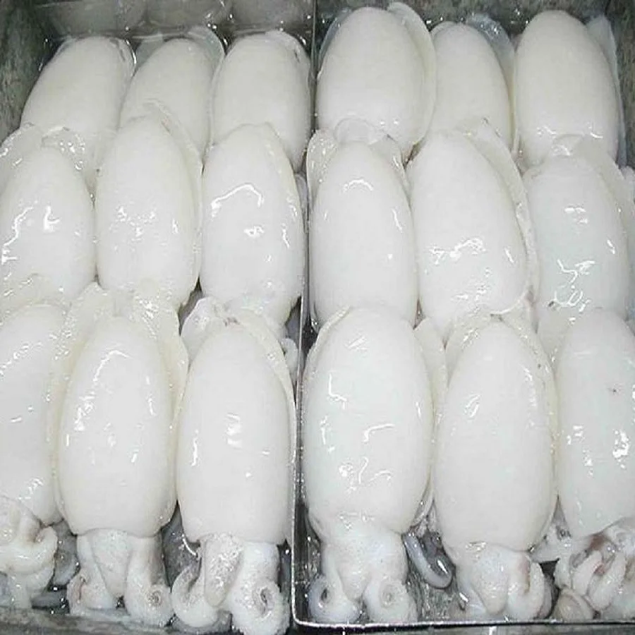 Cuttlefish/frozen Whole Cuttle Fish/fillets And Baby Cuttlefish/fresh ...