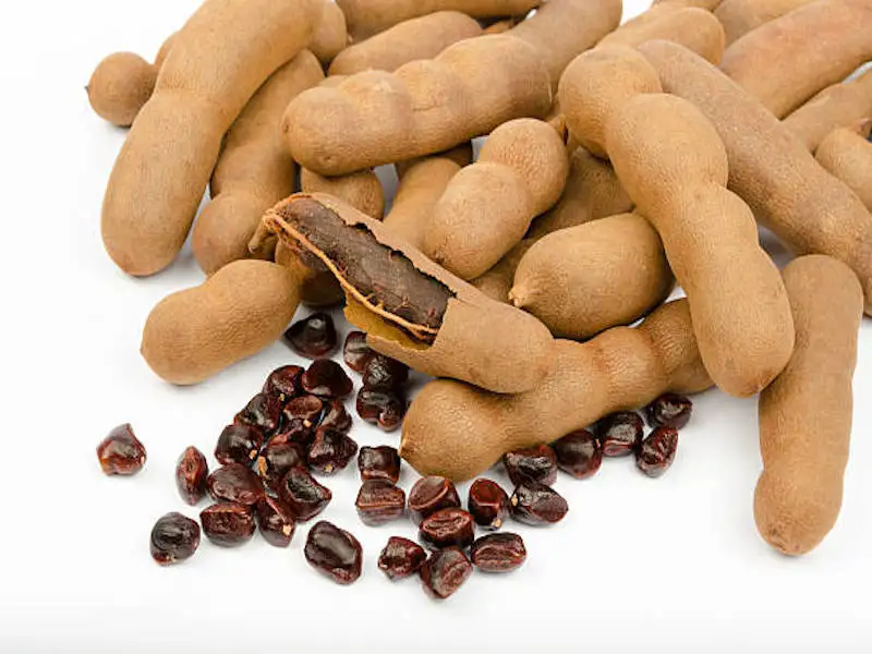 Tamarind Seed For Sale At Good Price Tamarind Seeds Ready For Export ...