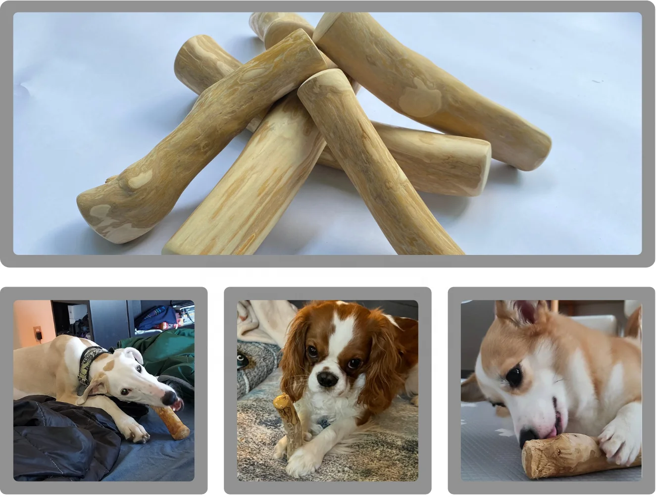 Sustainable Coffee Wood Chew Toys Clean Dental Care For Dog Pet-safe ...