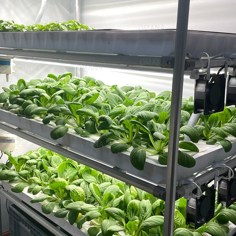 Omana 2024 Indoor Vertical Hydroponic Growing System Complete Home ...