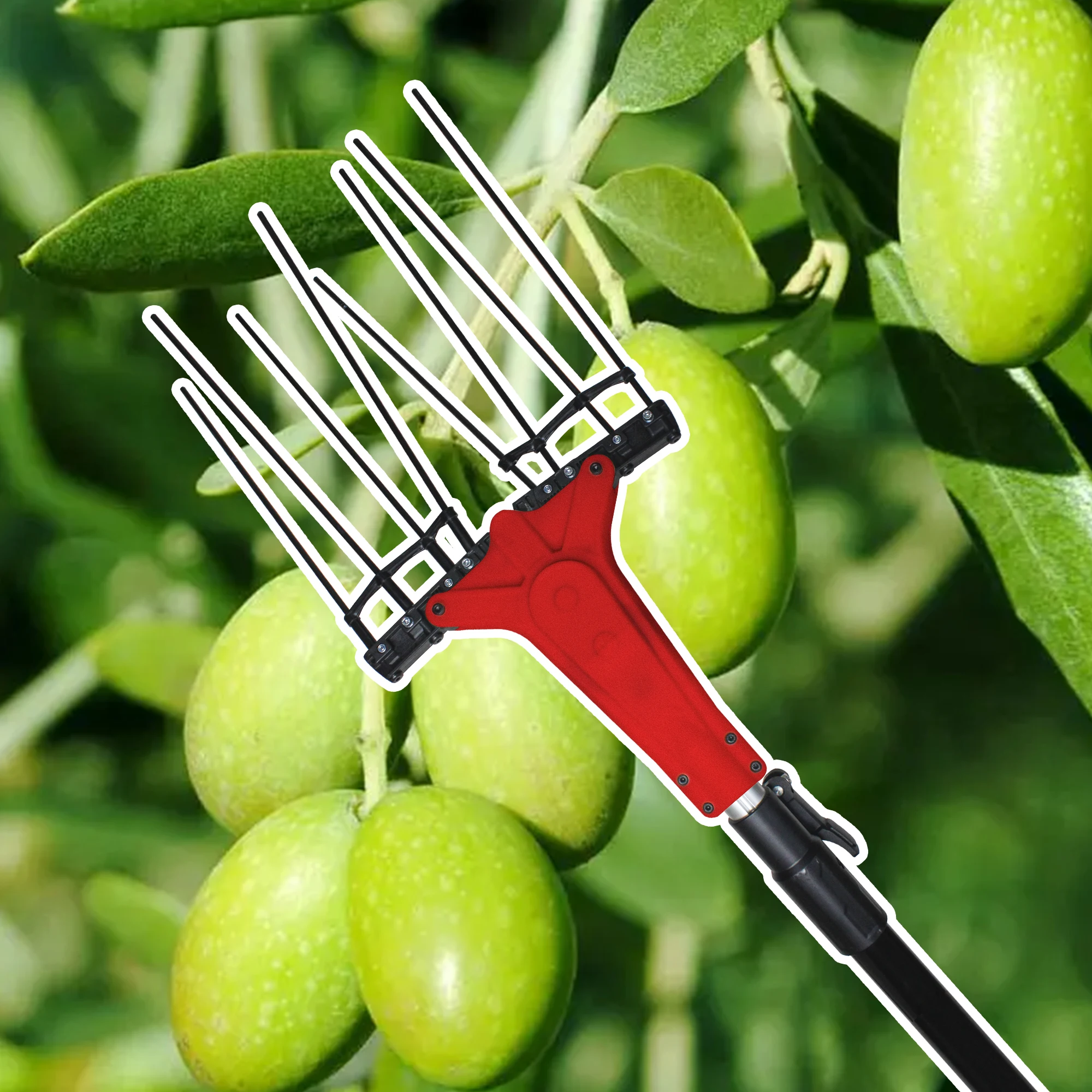 High Performance Olive Shaker Harvest Machine - Direct Sales