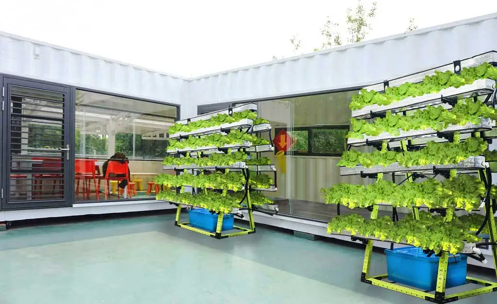 Net Cup Nft System Hydroponics - Buy Hydroponic Tower Garden Product on ...