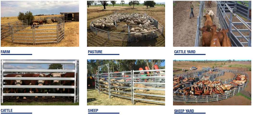 Factory Customized 16 Ft. X 62 In. Corral Pen Galvanized Cattle Corral ...