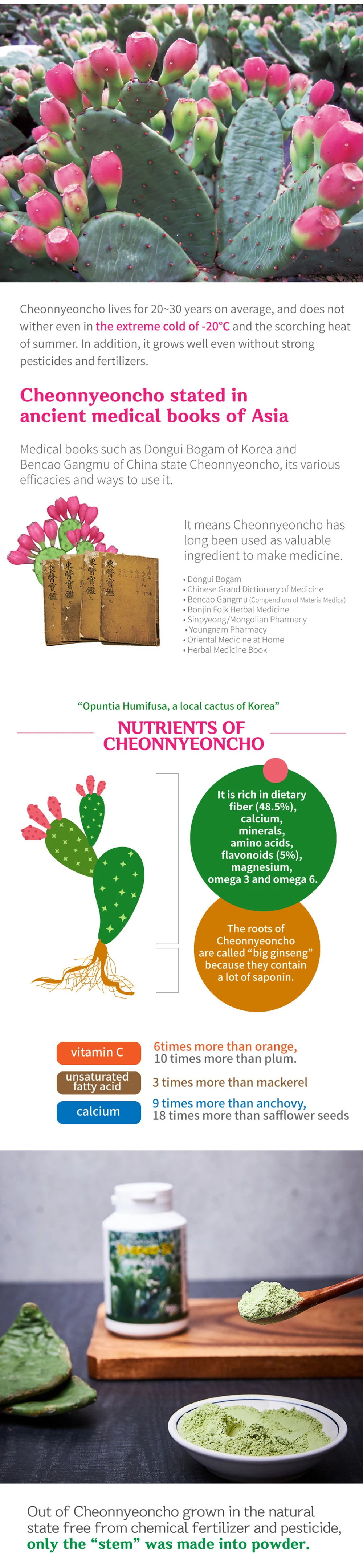 Nourishing Body Detox Tea Enhance Health Solid Drink Cell Growth And ...