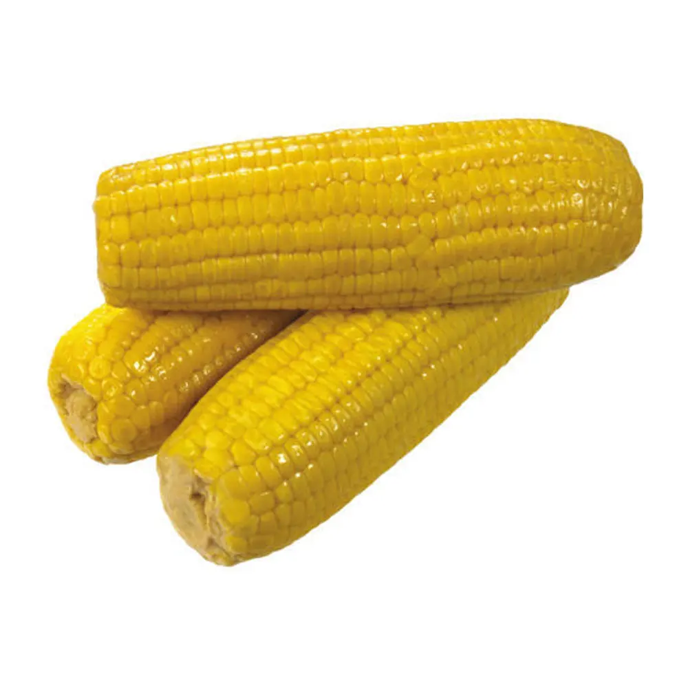 Good Taste Agriculture Sweet Yellow Corn Cheap Price New Stock Sweet ...