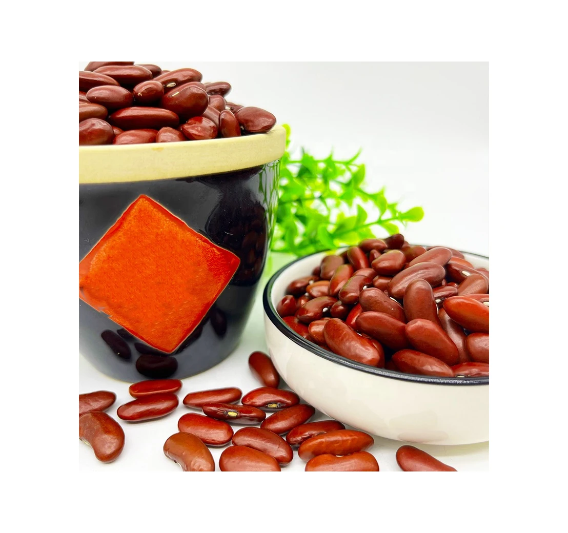 White Kidney Beans / Black Kidney Beans / Red Kidney Beans 2024 Fresh ...