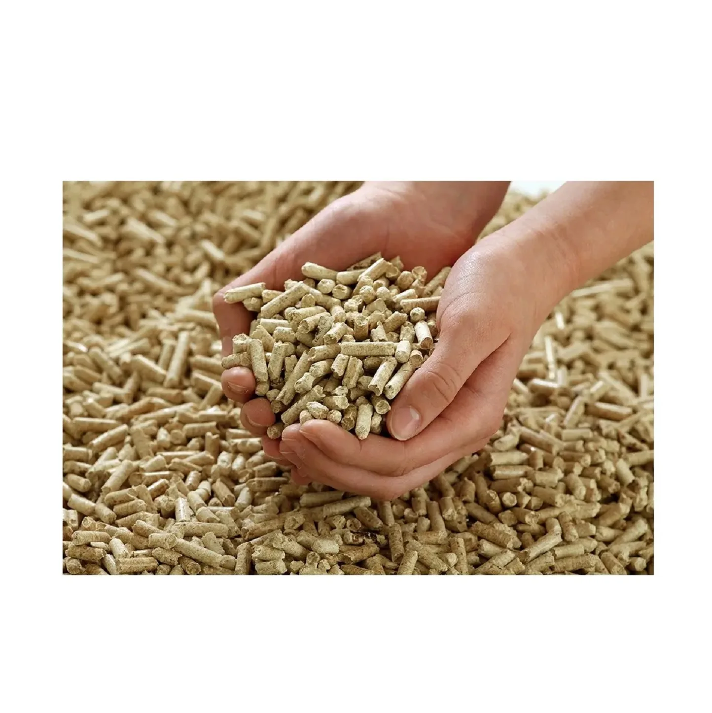 Biomass Pellets - Efficient Fuel for Cooking and Heating