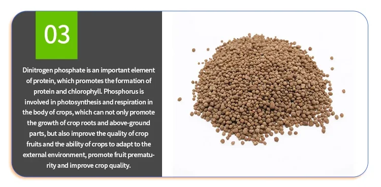 Organic Fertilizer Difference Between DAP and NPK Fertilizer