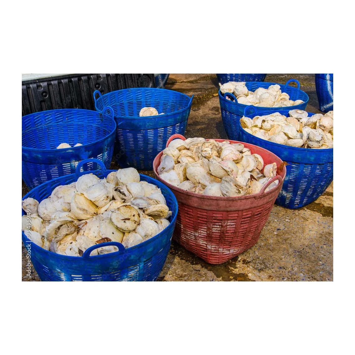 Premium Cup Lump Natural Rubber With 72% Dry Rubber Content Offered For ...