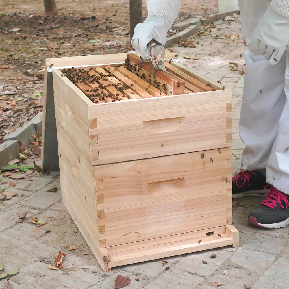 Langstroth Beehive 10 Frame Deep/Brood Box Bee Box| Alibaba.com