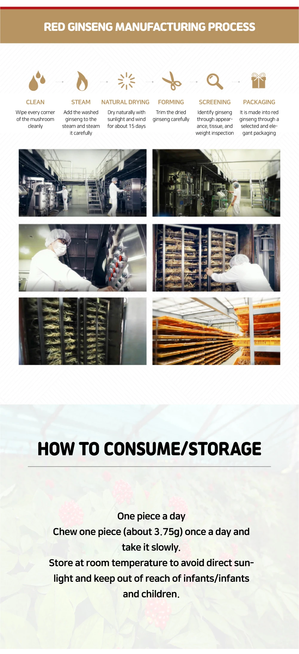 Made In Korean Latest Trend Planting Dried Powder Health Food Ginseng ...