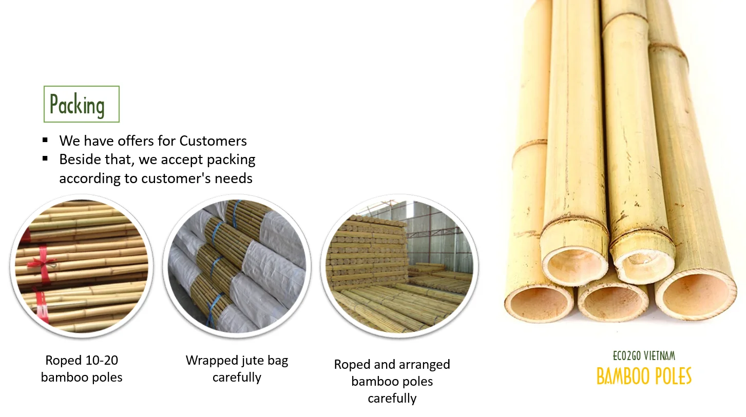 Natural Bamboo Poles Cane Strips Slats Stakes High Quality Bamboo Poles ...