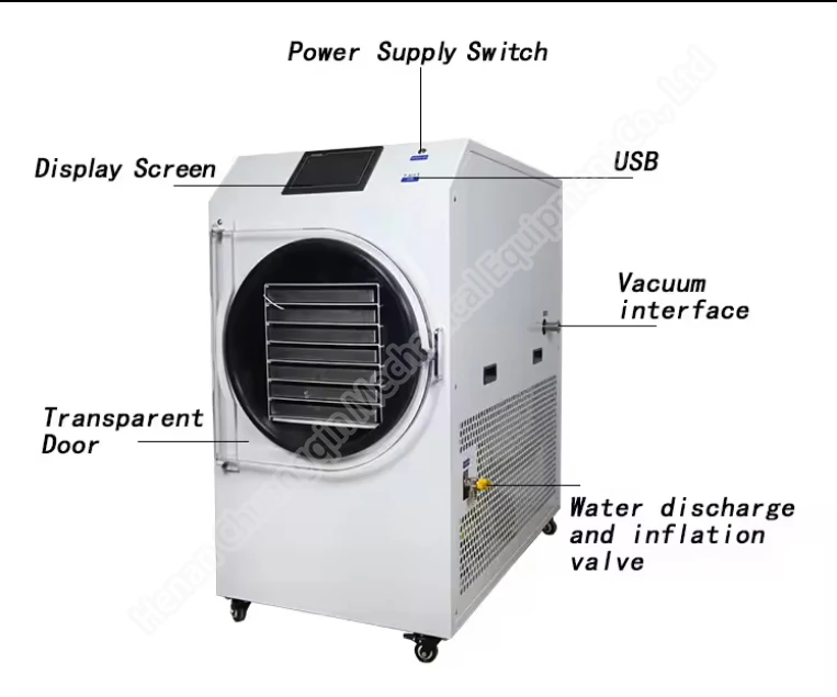 High Efficiency Freeze Dryer Machine - Portable & Reliable