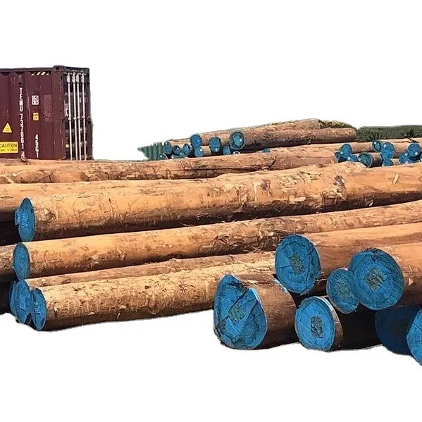 Teak Wood - Round Logs,Sawn Timber Logs,West Africa Timber Logs Natural ...