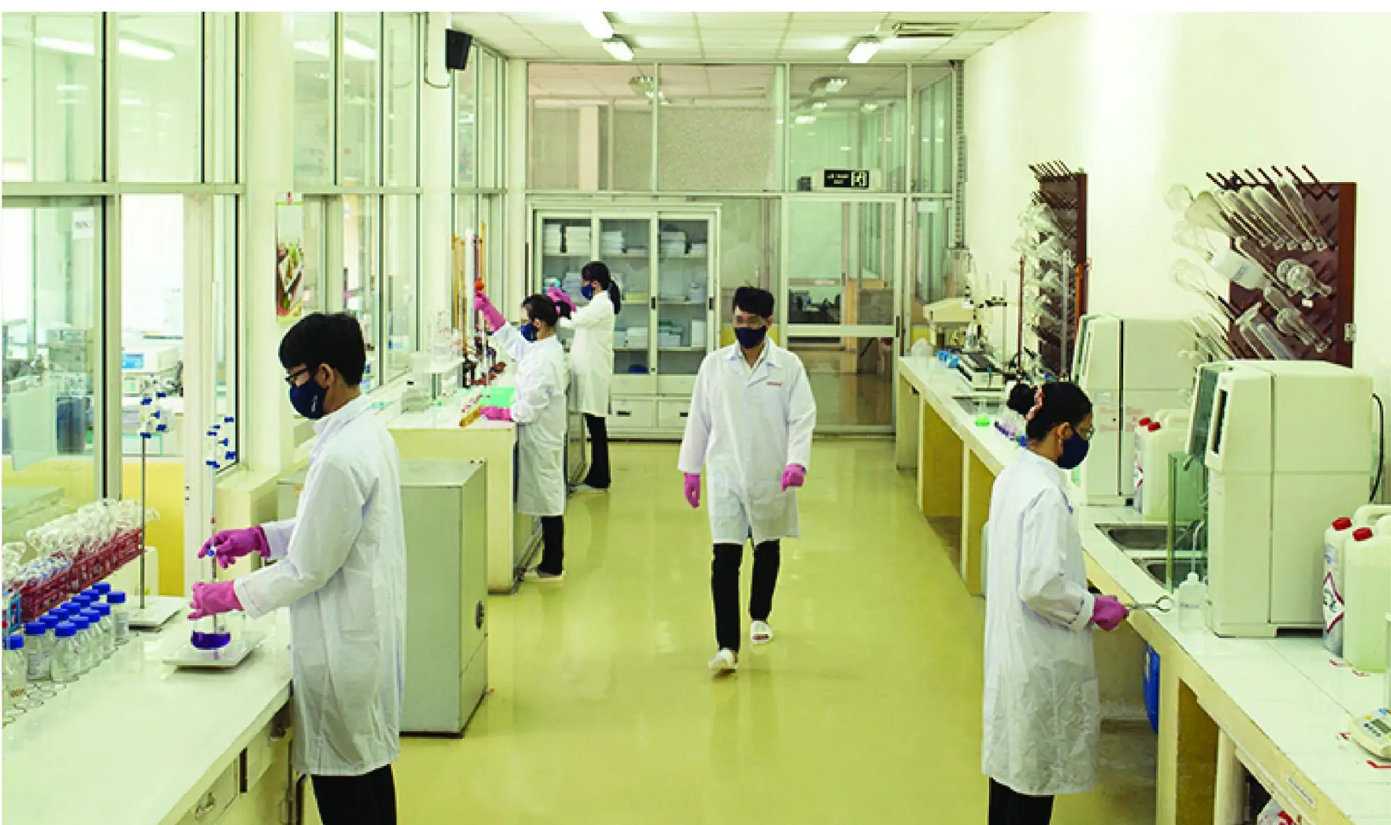 Alibaba.com: Vedafeed Dried Soybean Meal Granule Protein-Rich Animal ...