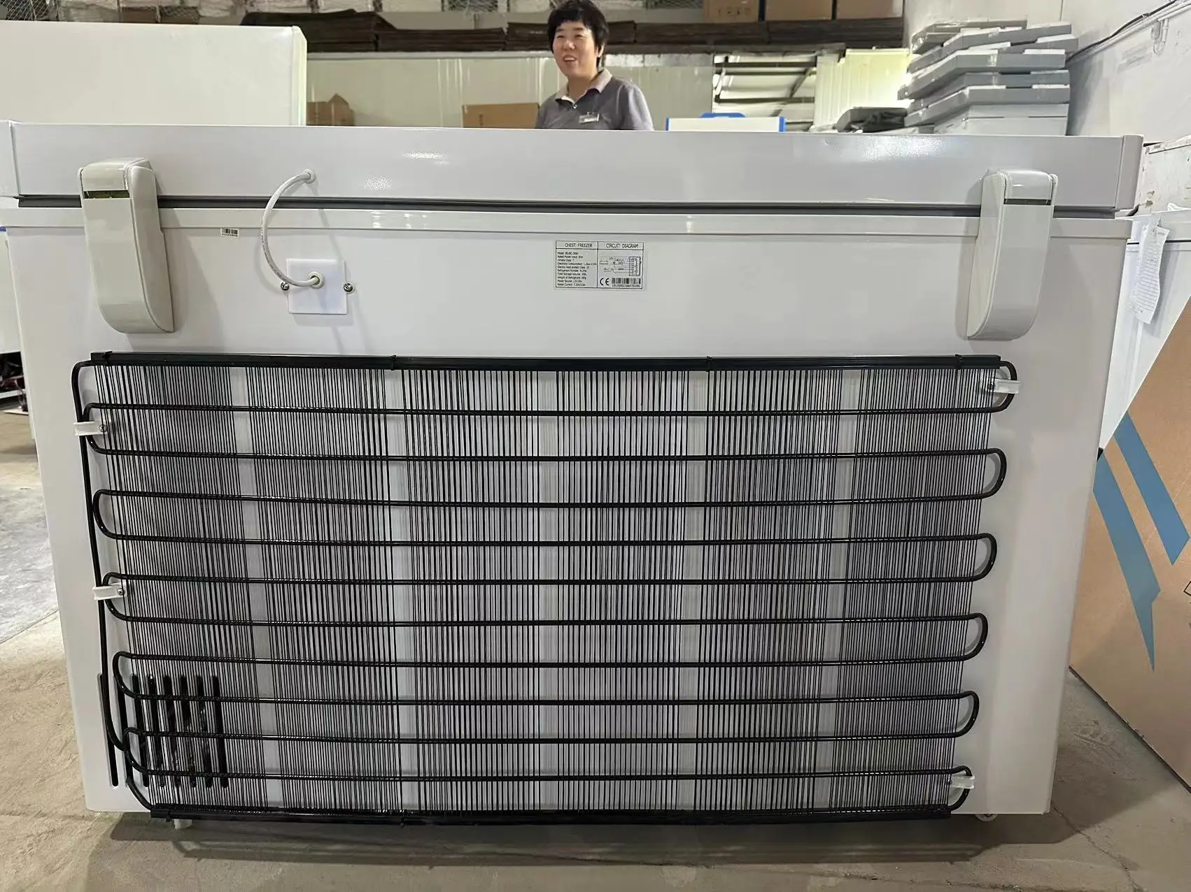 Dc12v24v 110mm Foaming Thickness Door Commercial Deep Chest Freezer Solar Odm/oem Horizontal ...