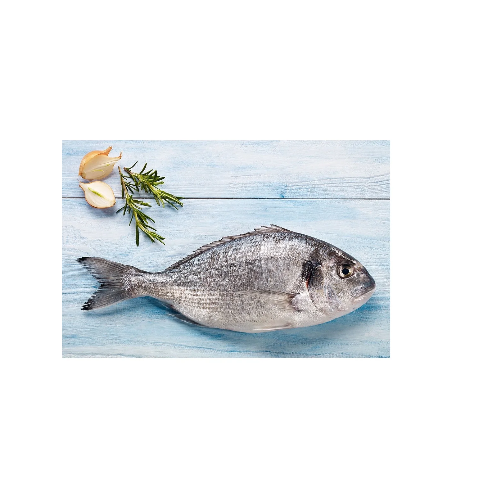 High Quality Frozen Black Sea Bream Fish At Cheap Price Manufacturer ...